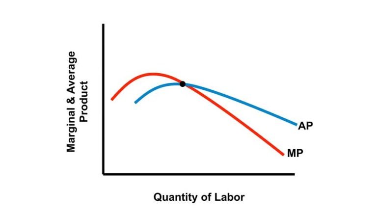 How to Calculate Marginal Product in Economics - Tips to take care of ...