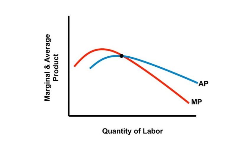 How to Calculate Marginal Product in Economics - Tips to take care of ...