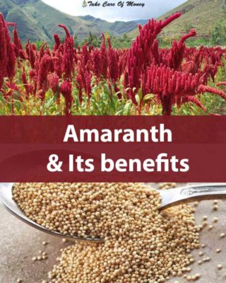 What is Amaranth and what are its benefits? - Tips to take care of your ...